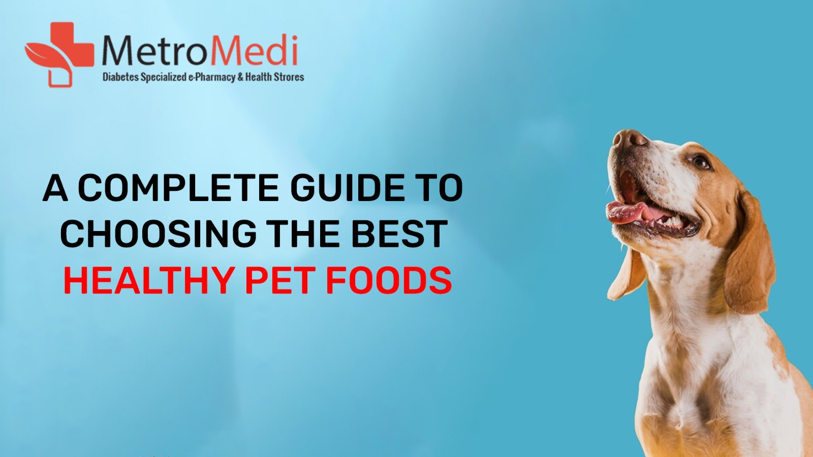 A Complete Guide to Choosing the Best Healthy Pet Foods - Metromedi Blog